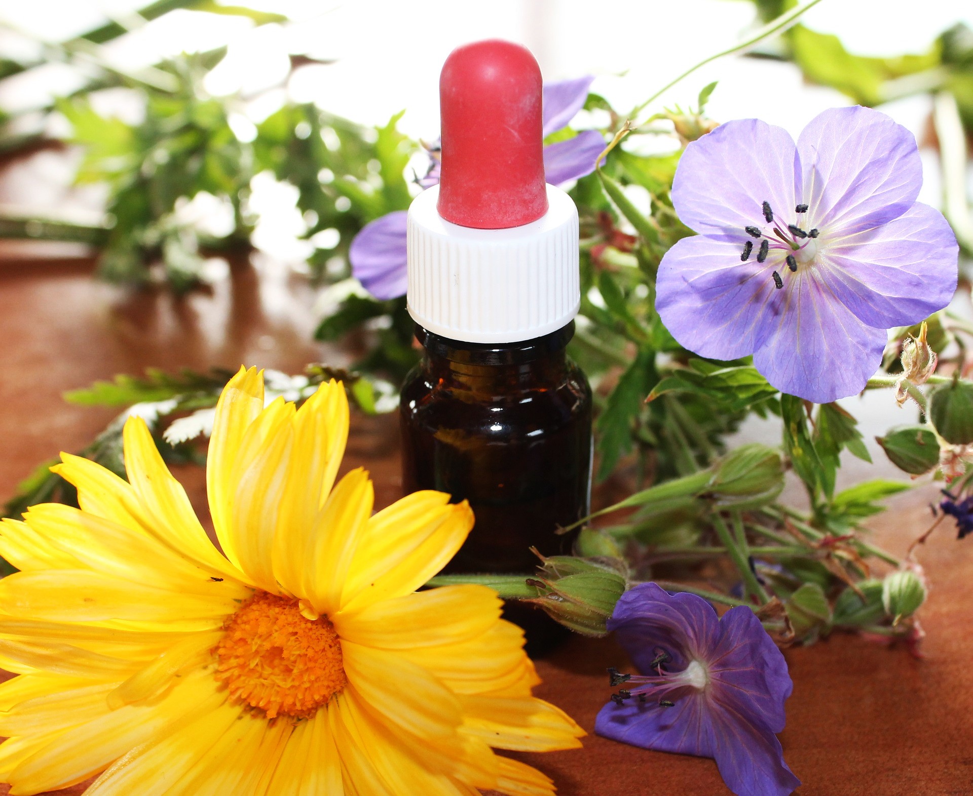 Naturopathic Institute Mission Statement